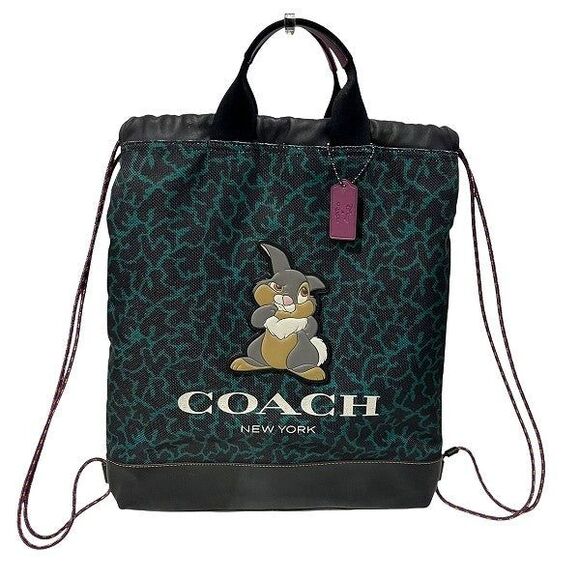 Coach | Bags | Coach Disney Terrain Wavy Wave Canvas Leather 2way Bag ...